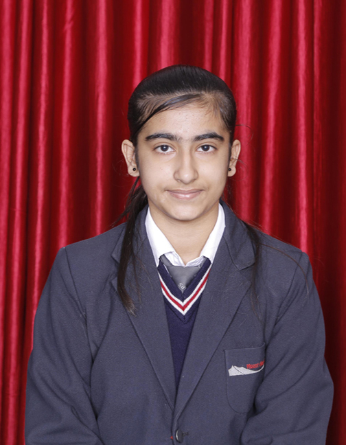 EXCELLENCE IN ACADEMICS | Mount Abu Public School